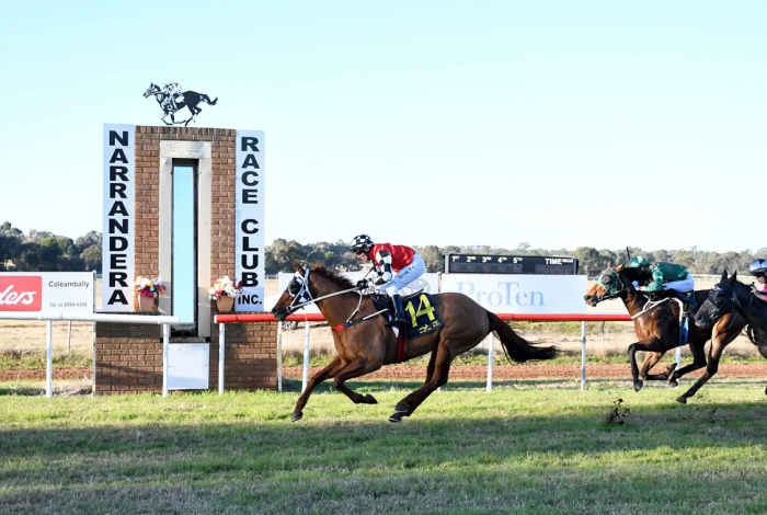 What's On | Narrandera Shire Council